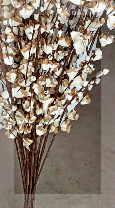 Decorative Sticks – Nature Creativity