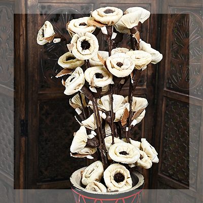 Maize Leaves Flower – Nature Creativity