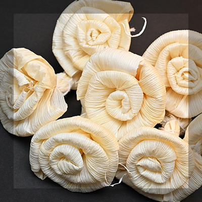 Maize Leaves Flower – Nature Creativity