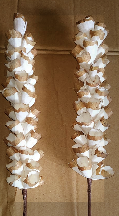 Decorative Sticks – Nature Creativity