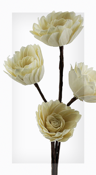 Decorative Sticks – Nature Creativity