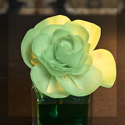 Sola Flower – Nature Creativity