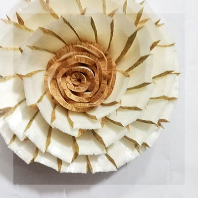 Sola Flower – Nature Creativity