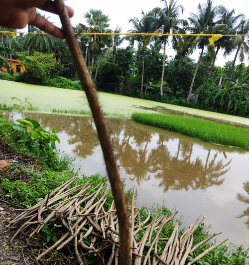 Our Story – Nature Creativity